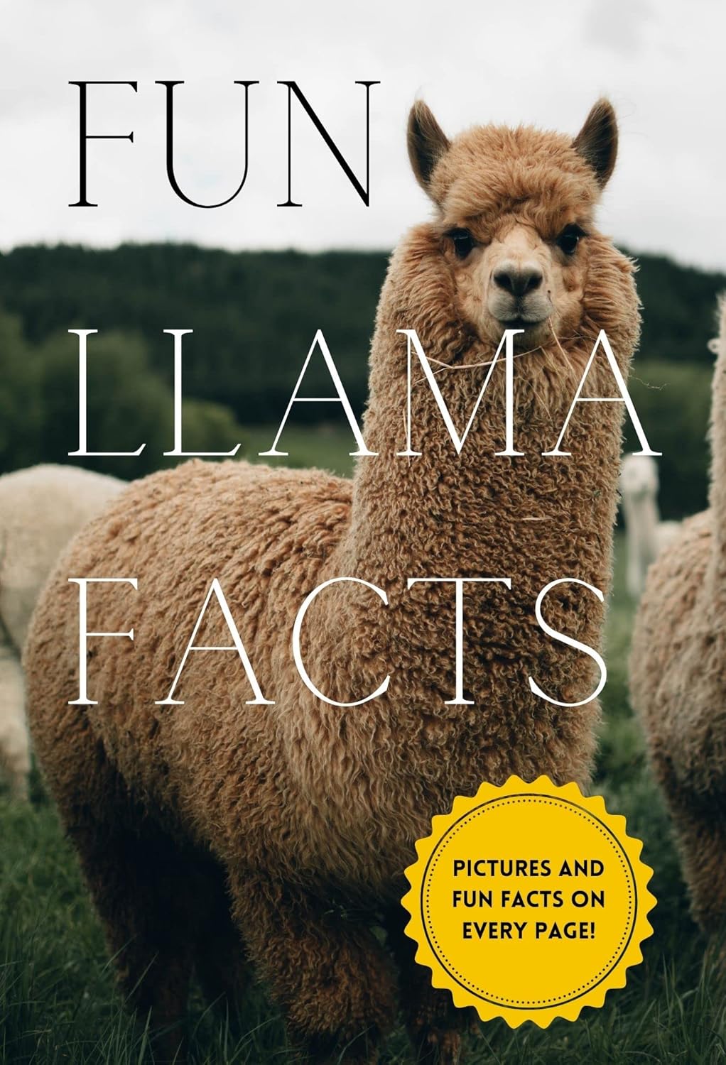 Fun Facts About llamas: Information About llamas and High Resolution ...