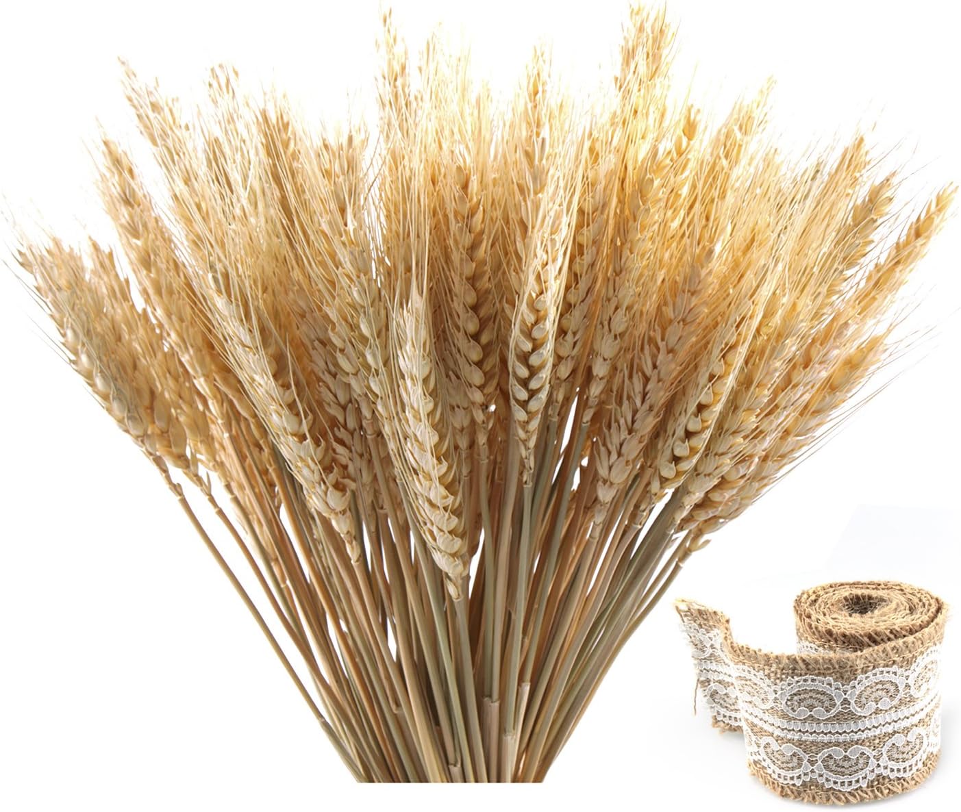 Amazon.com: Golden Dried Natural Wheat Sheave Bundle Premium Fall ...