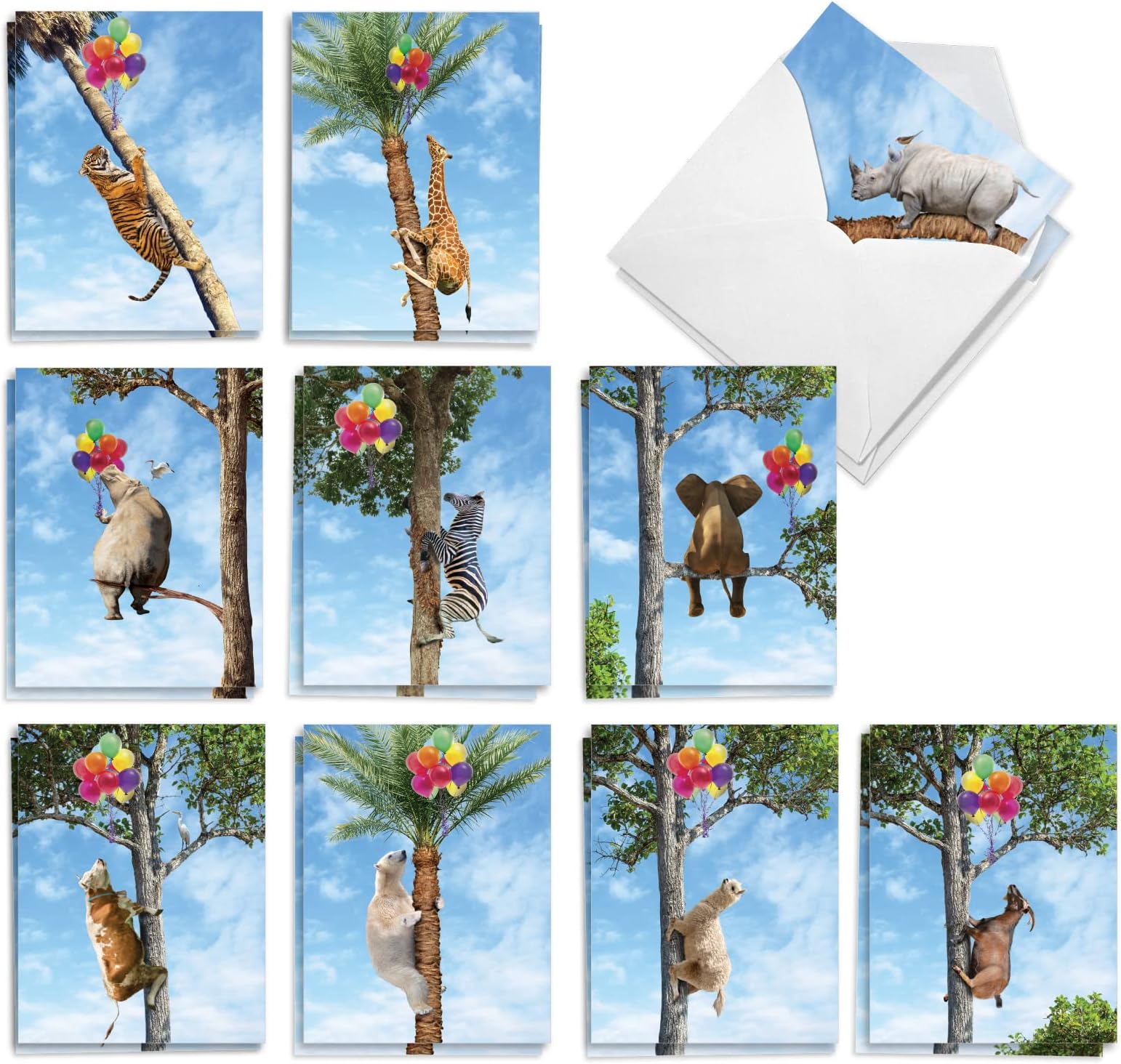 Amazon.com : The Best Card Company 20 Assorted Blank Humorous Boxed ...