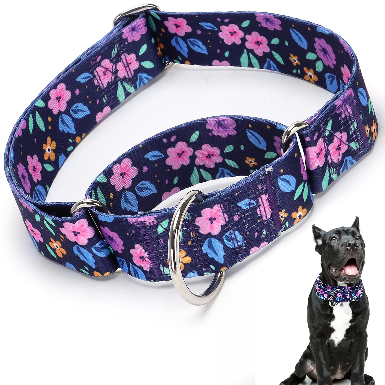Amazon.com : Martingale Dog Collars for Large Dogs, 1.5 Inches Wide and ...