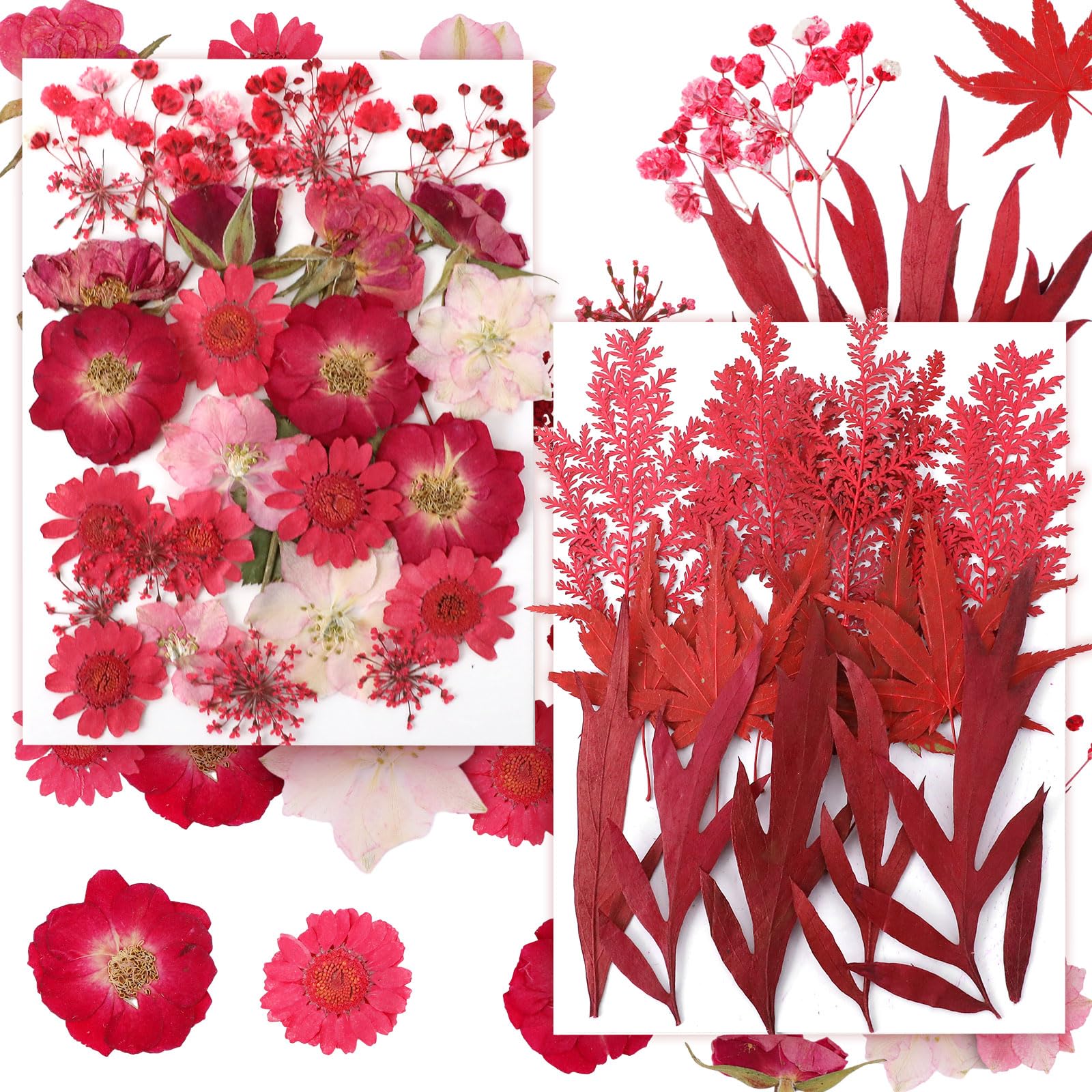 Amazon.com: UPINS Red Dried Pressed Flowers for Resin Molds, Real ...
