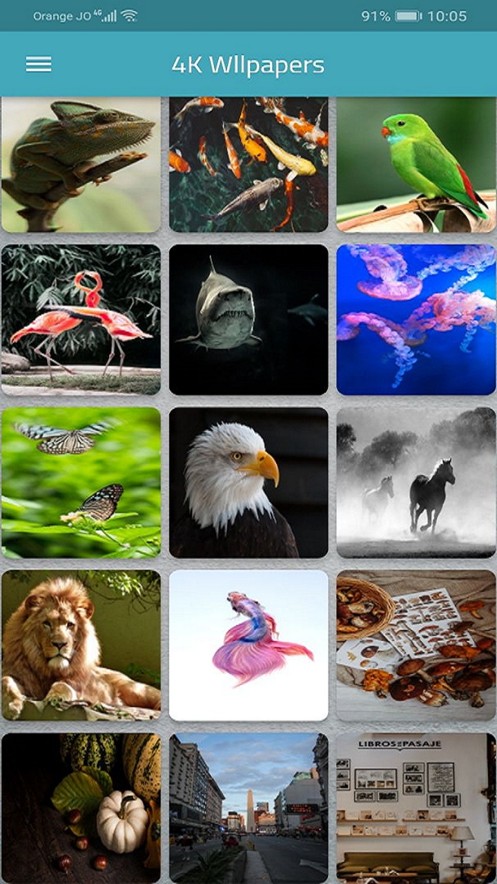 Willi - 4K Wallpapers - App on Amazon Appstore