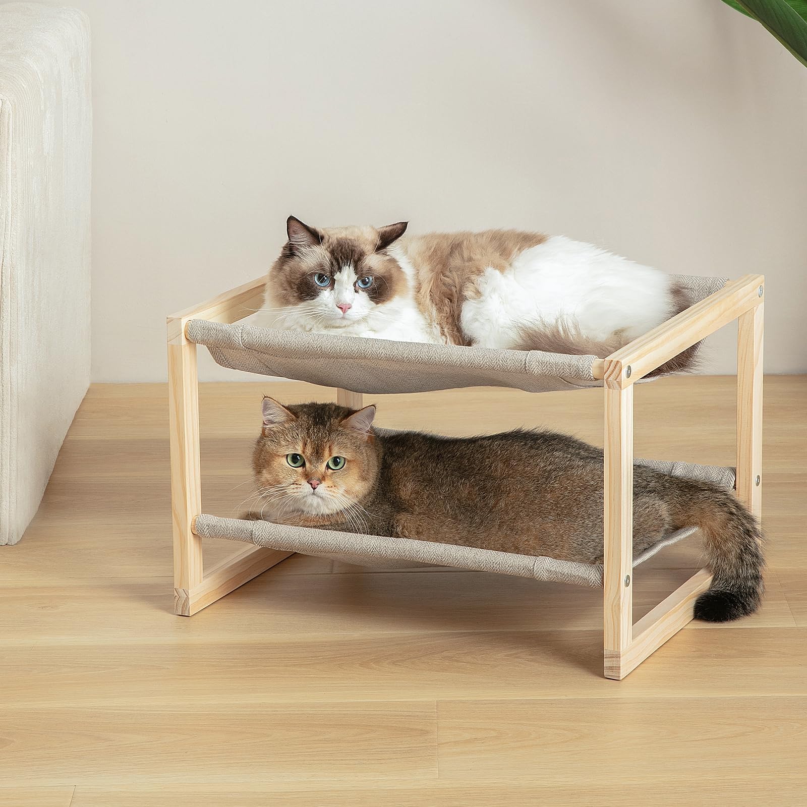 Amazon.com : Wooden Cat Bed, Elevated Cat Bed with Removable Soft Mat ...