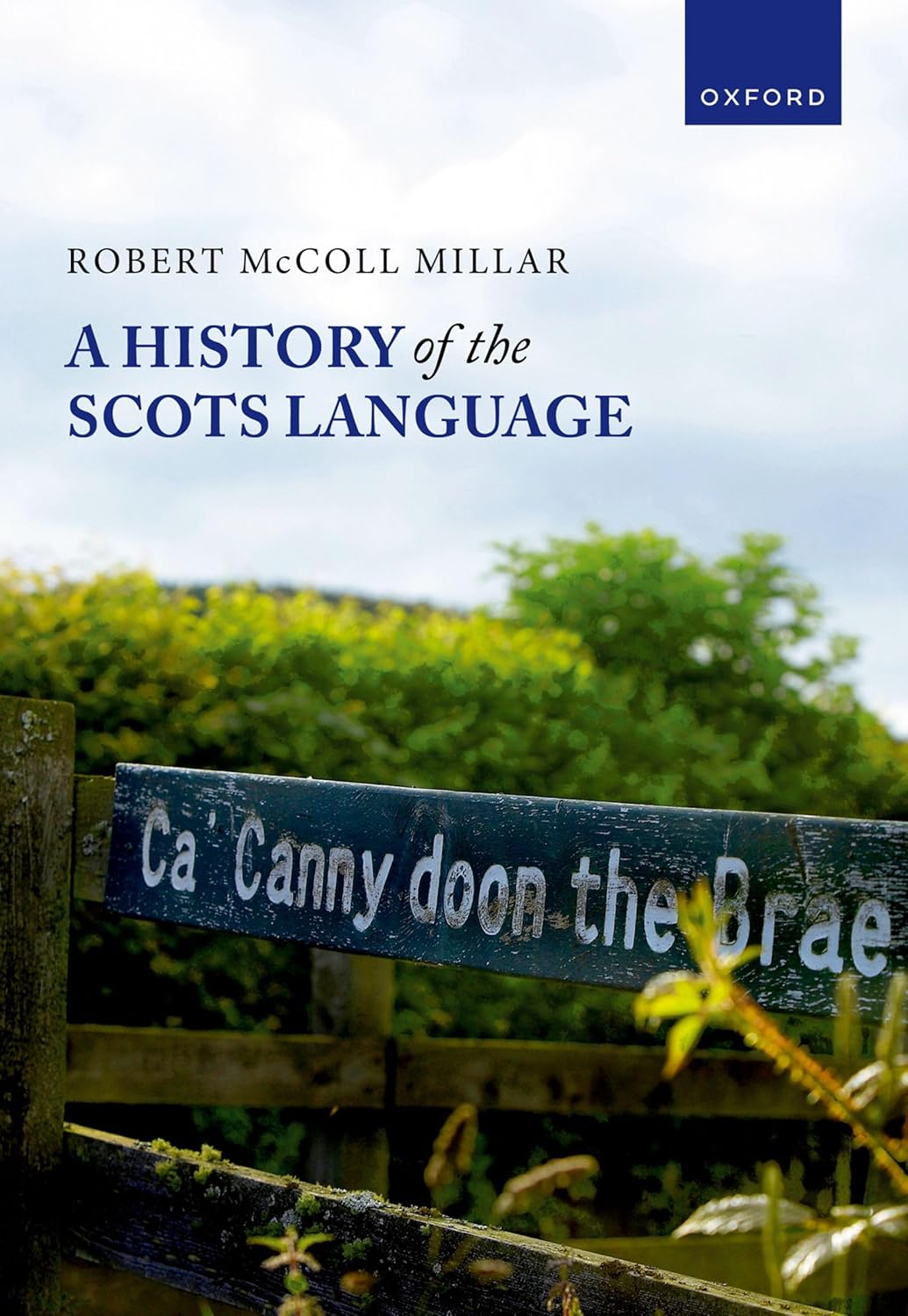 A History of the Scots Language: Millar, Robert McColl: 9780198863991 ...