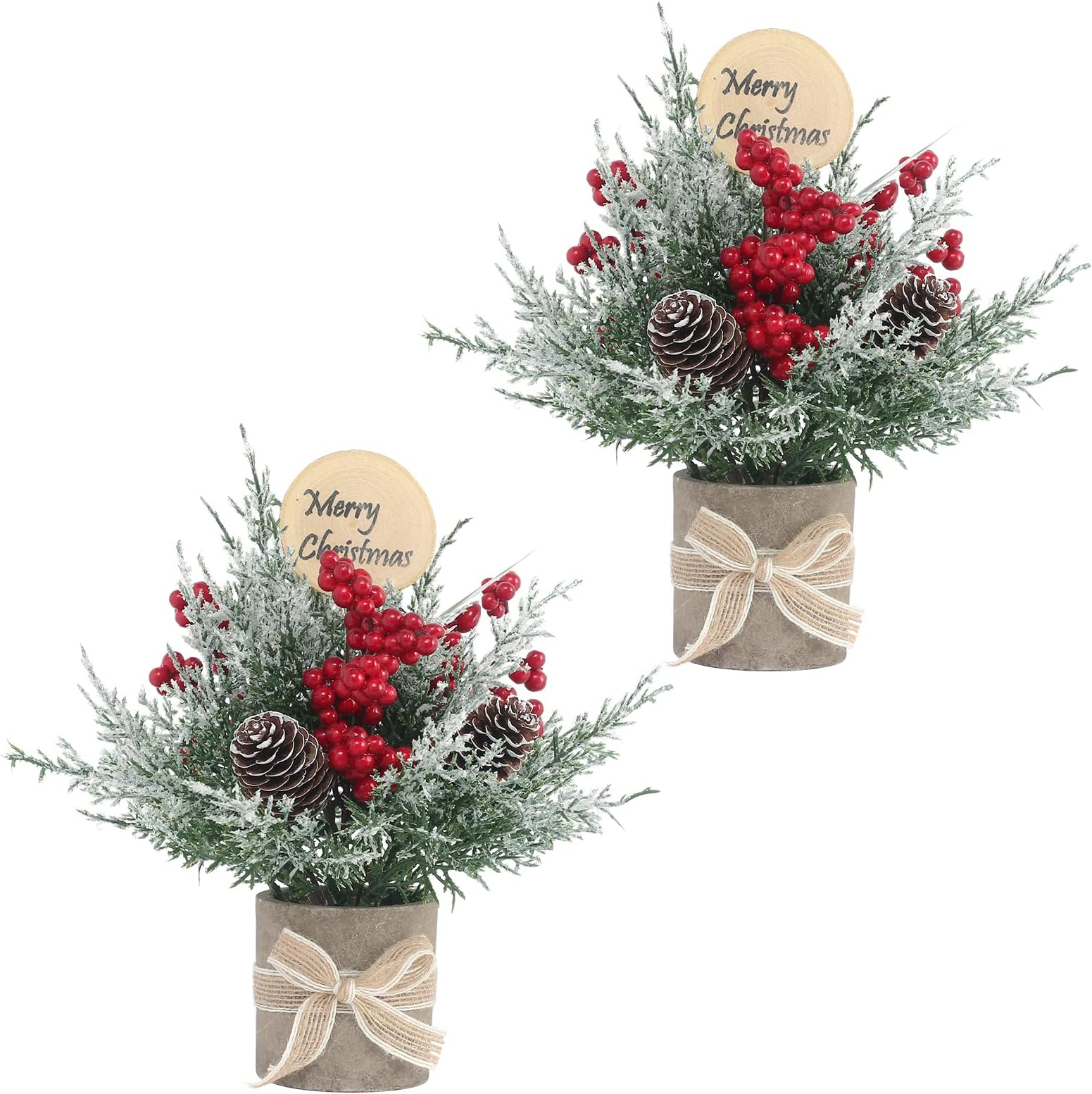 Amazon.com: Autumety Small Christmas Tree Table Decorations - Christmas ...