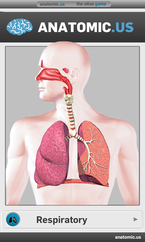 RESPIRATORY ANATOMY GAME - App on Amazon Appstore