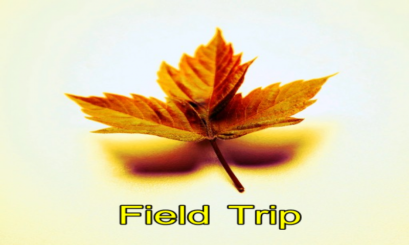 Field Trip - App on Amazon Appstore