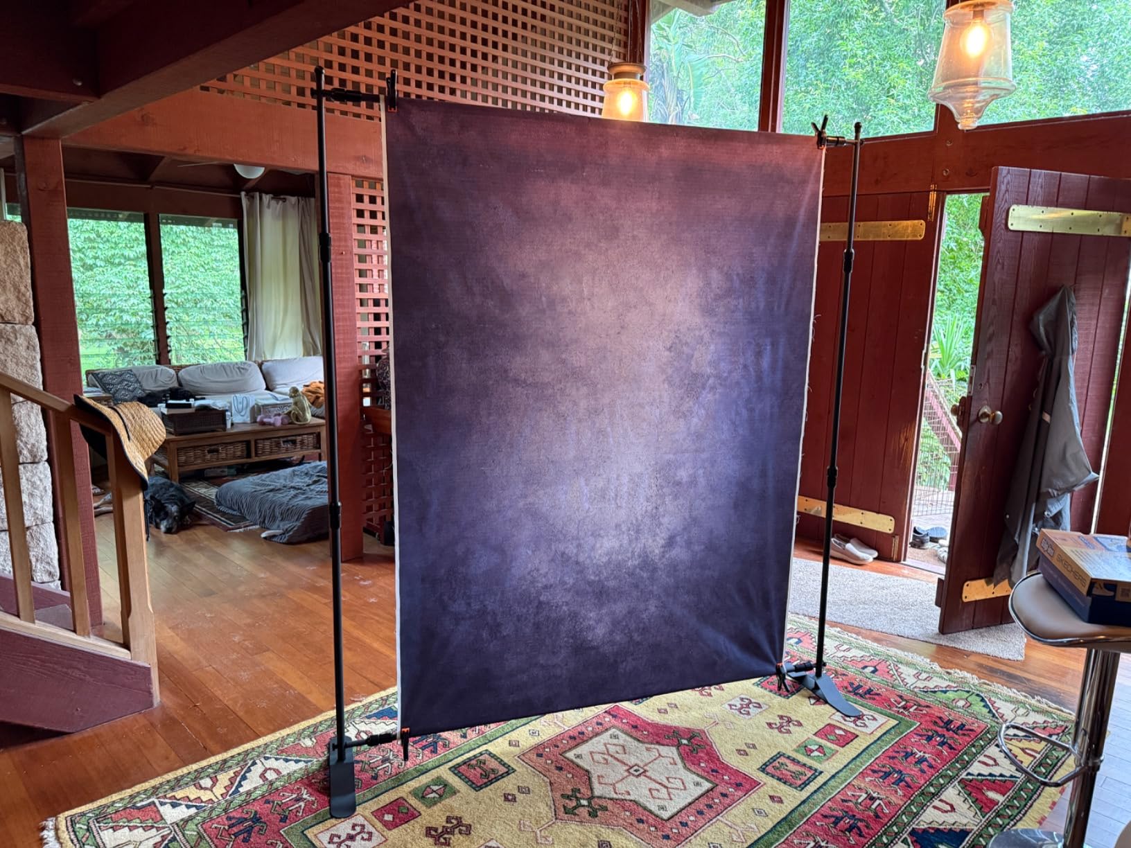 Ruikca Backdrop Banner Stand, 10x8ft Adjustable Heavy-Duty Photo Studio ...