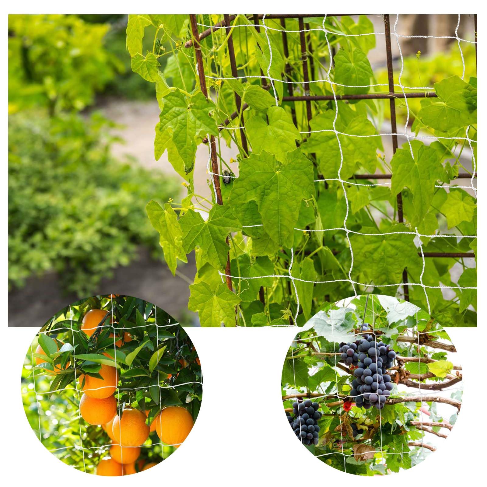 Snapklik.com : Trellis Netting, Garden Plant Trellis Netting, 6 X 30 Ft ...