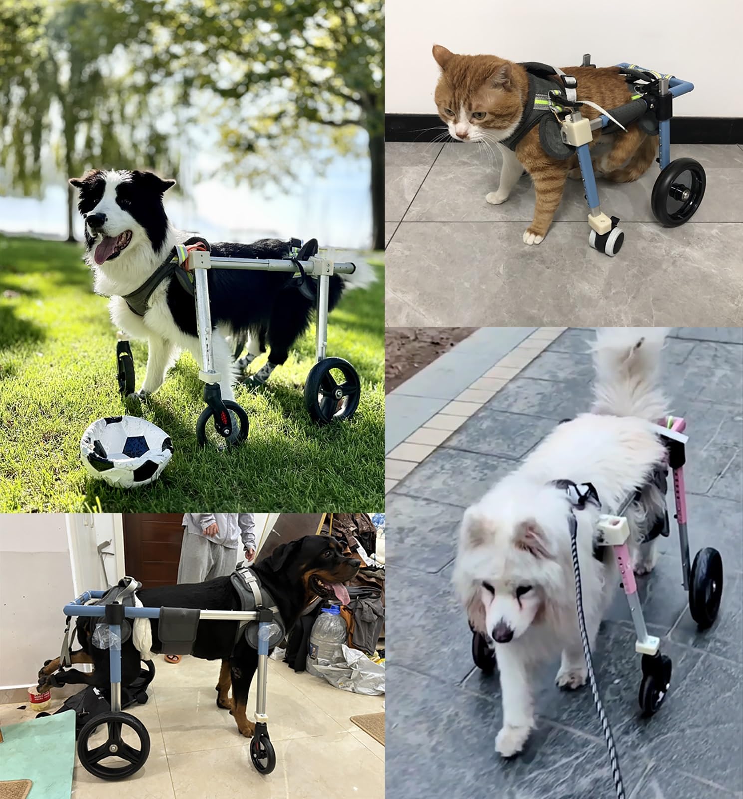 Dog Wheels For Back Legs Dog Wheelchair For Back Legs - Rear Support ...