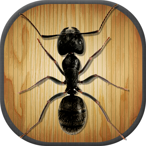 Insect Smasher Ant Killer game:Amazon.co.jp:Appstore for Android