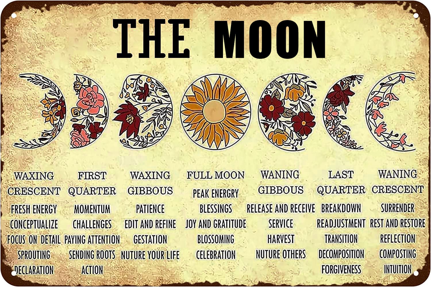 Amazon.com: The Moon Metal Tin Sign Art Posters Moon Phases Meanings ...