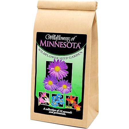 Amazon.com : Minnesota Wildflower Seed Mix - 12 Varieties of Non-GMO ...
