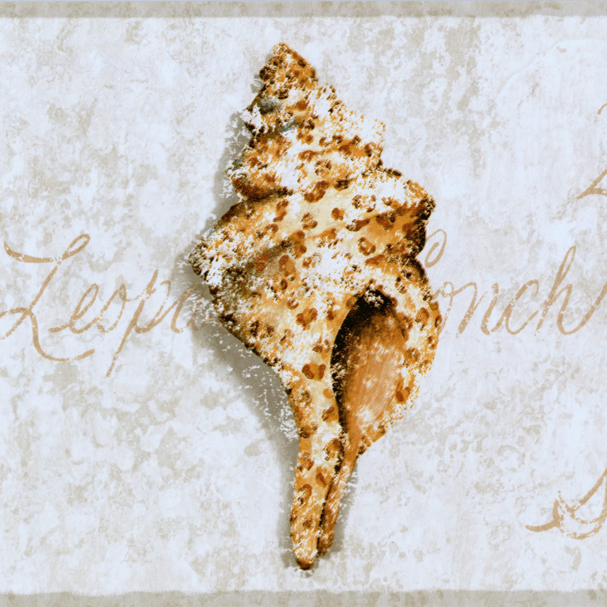 Seashells Wallpaper Border