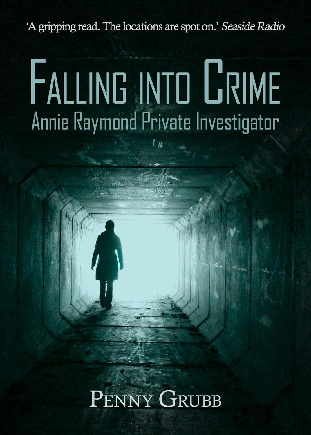 Amazon.com: Falling into Crime eBook : Grubb, Penny: Kindle Store