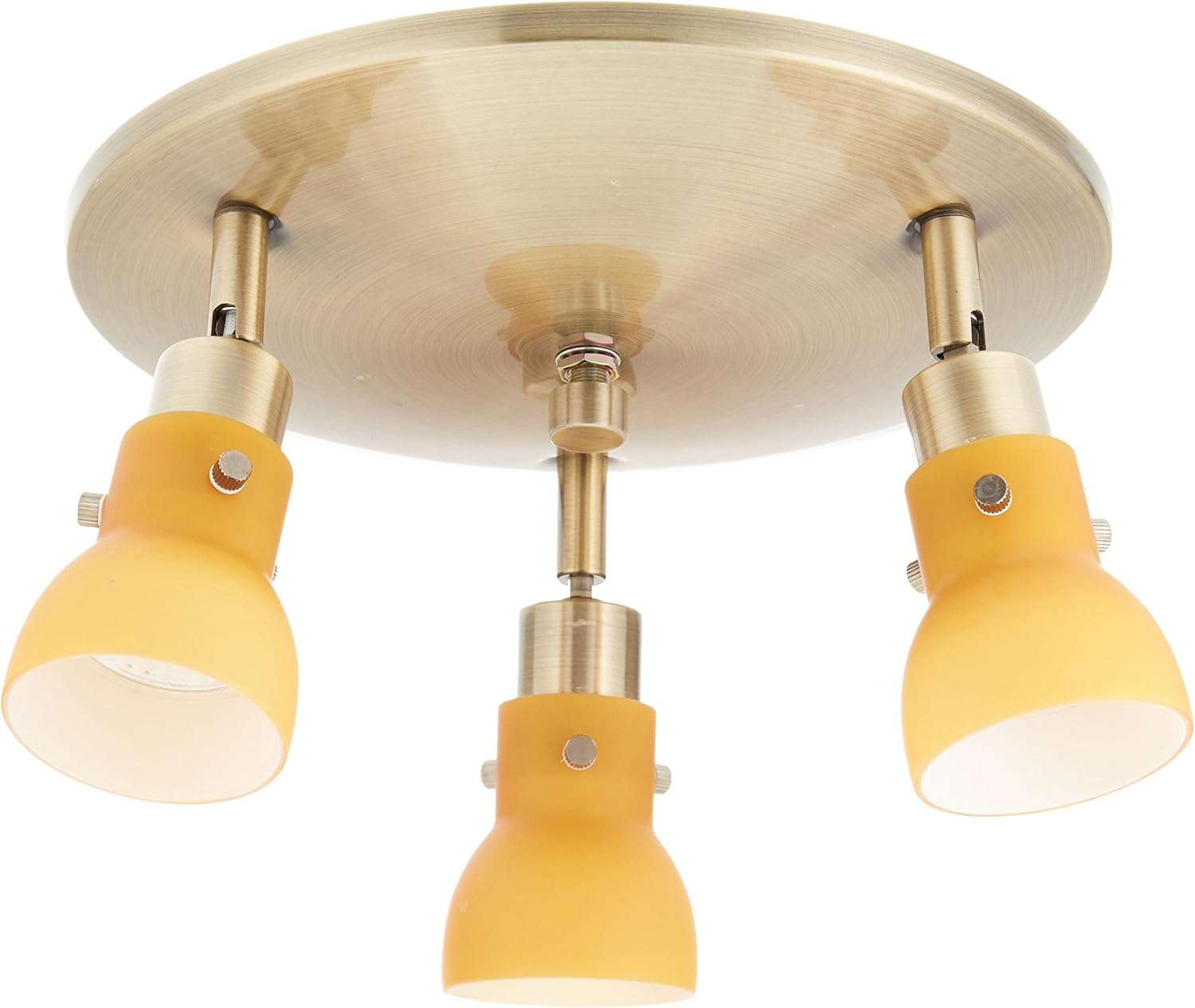 Lite Source LS-17093AB/AMB Head Spot Light with Amber Glass Shades ...