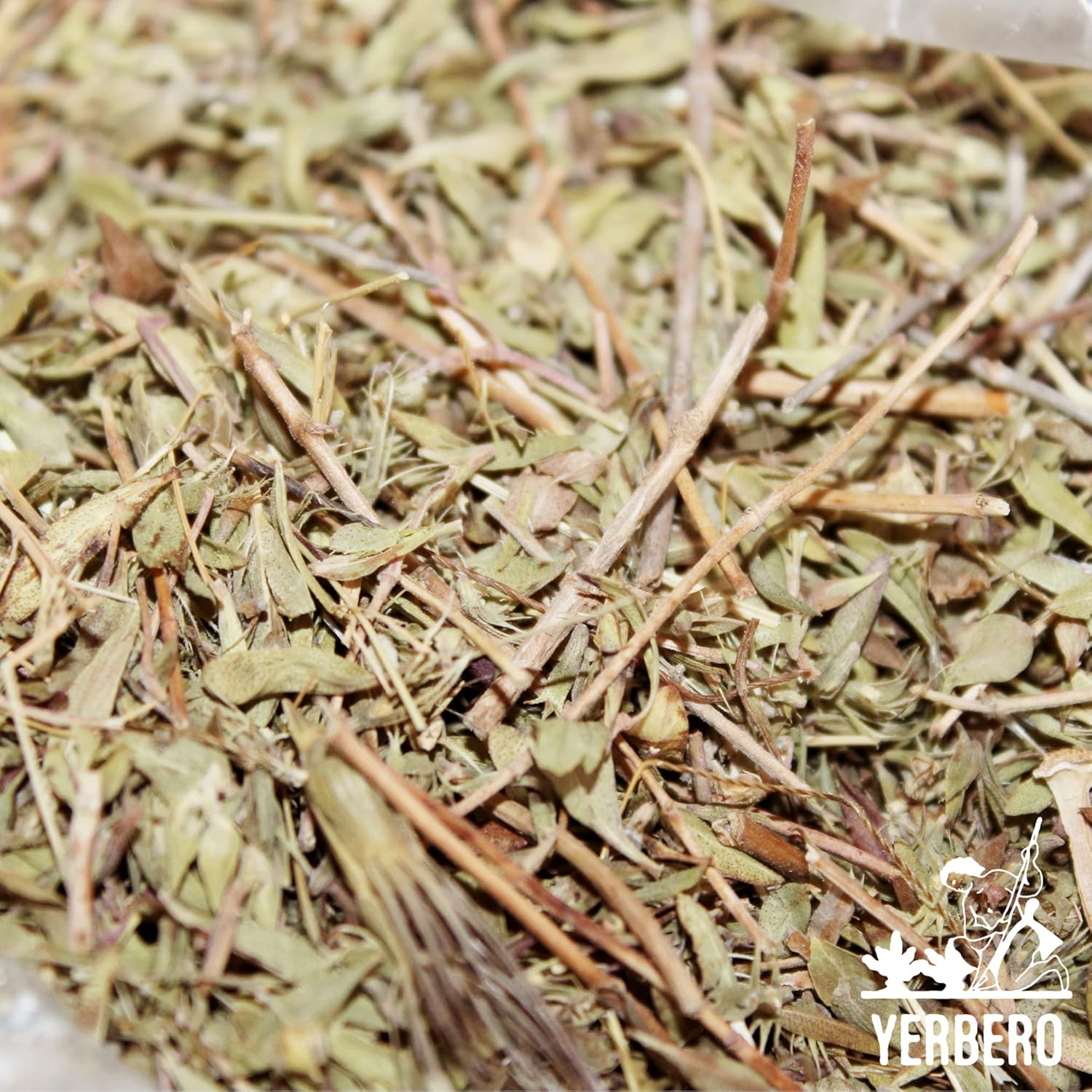 Yerbero – Orégano mexicano seco de 5 onzas (4.97oz) y 10 onzas (9.98oz ...