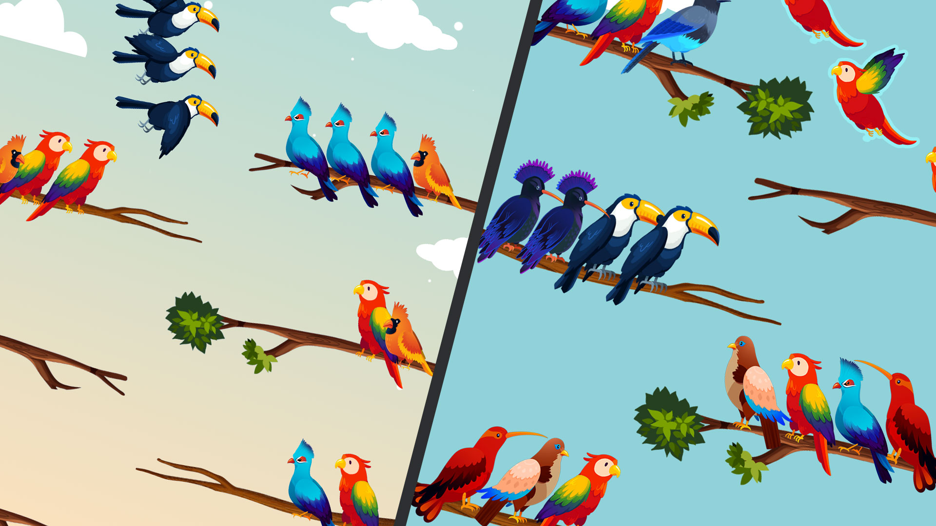 Bird Sort Master Color Puzzle: Bird Sorting Match Brain & Puzzle ...
