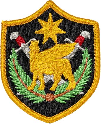 Amazon.com: Marlow White AGSU PATCH, Multinational Force - Iraq ...