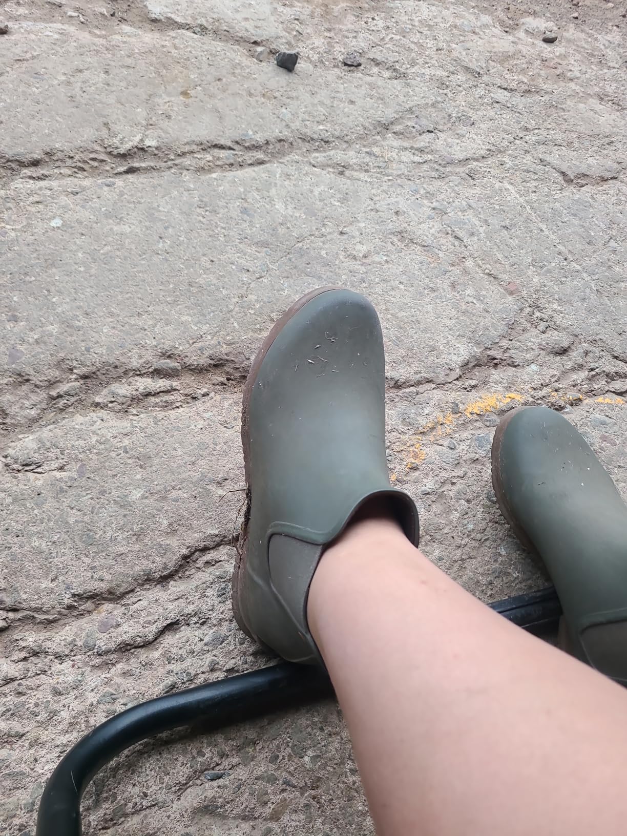 Amazon.com | BOGS Women's Sweetpea Ankle Waterproof Rain Boot | Ankle ...