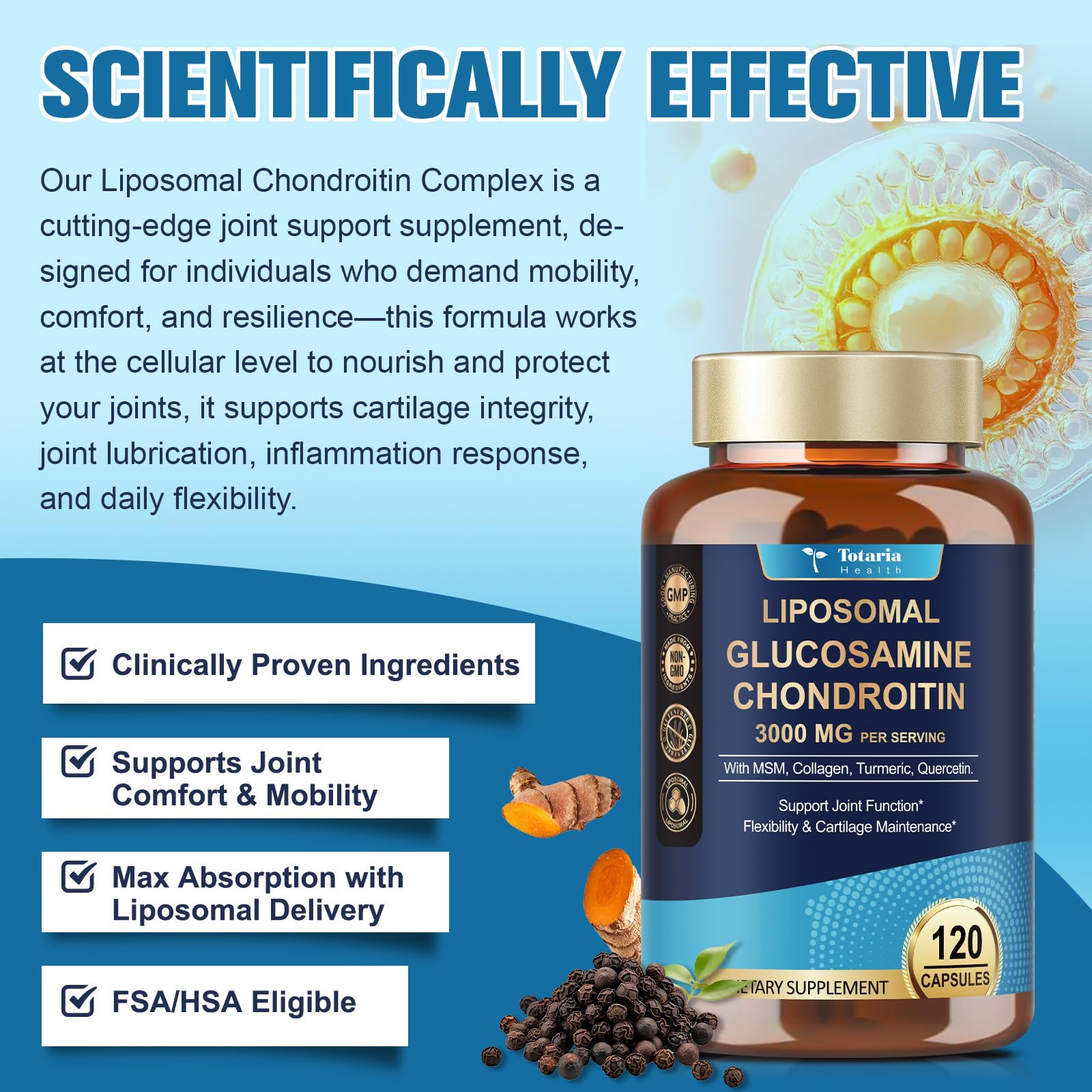 Snapklik.com : Totaria Liposomal Glucosamine Chondroitin MSM Collagen ...