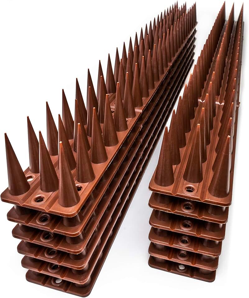 Amazon.ca: skunk repellent