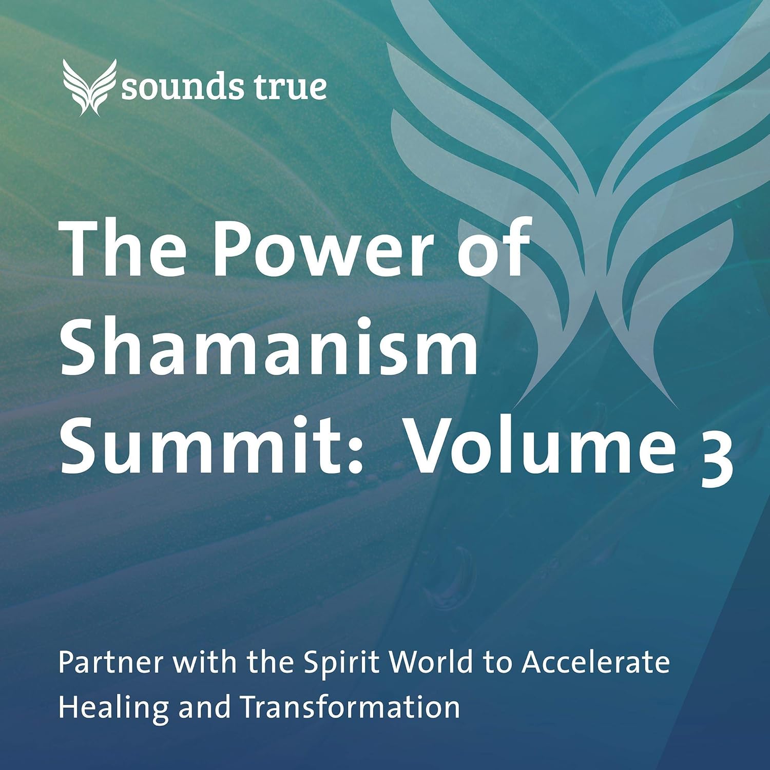 Amazon.com: The Power of Shamanism Summit: Volume 3: Partner with the ...