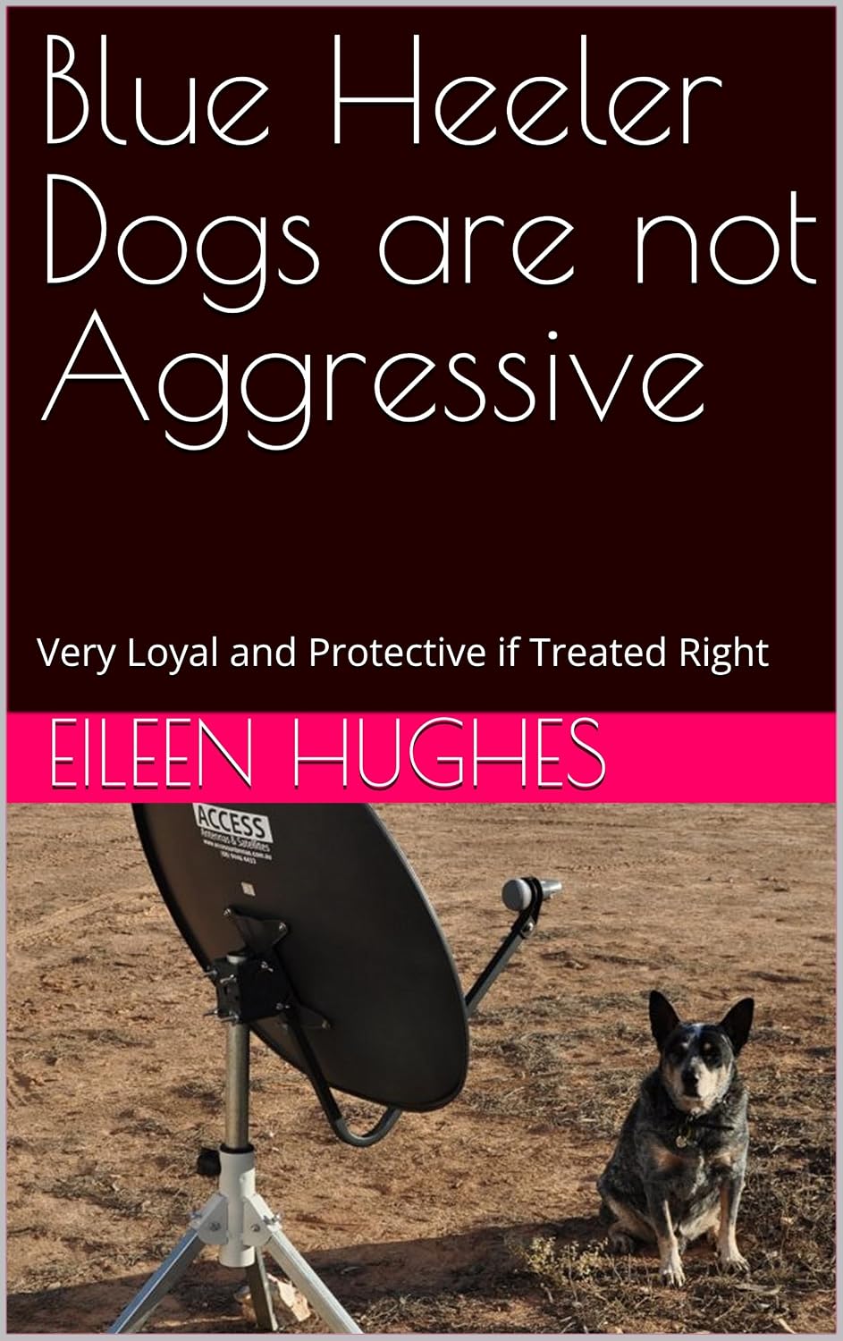 Amazon.com: Blue Heeler Dogs are not Aggressive: Very Loyal and ...