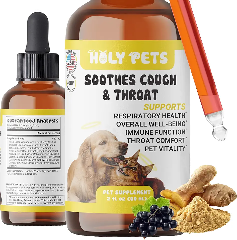 Safe Dosage Of Robitussin For Dogs: A Quick Guide | PetShun