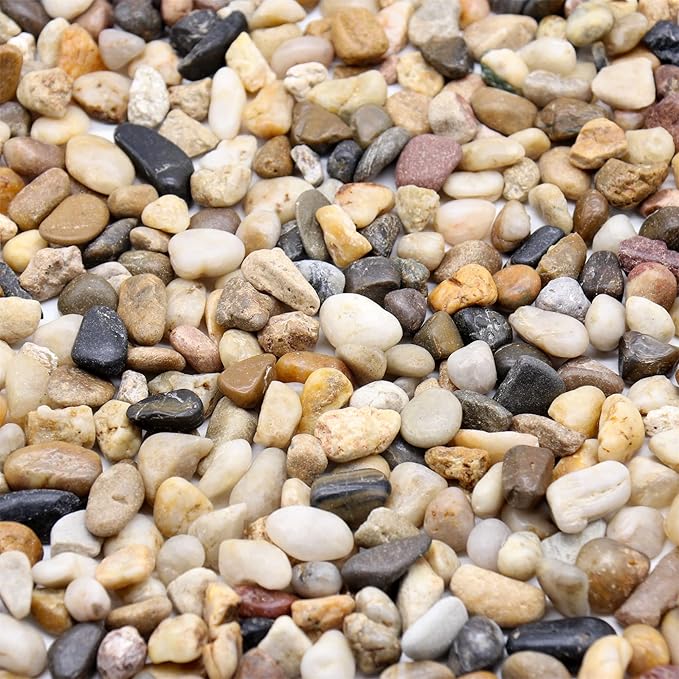 Amazon.com: Premium Pebbles Rocks for Plants. Mixed Color Decorative ...