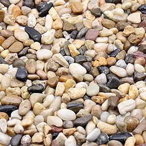 Amazon.com: Premium Pebbles Rocks for Plants. Mixed Color Decorative ...