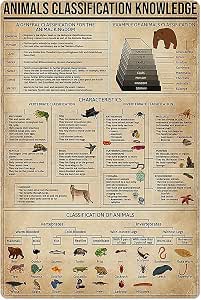 Amazon.com: Animals Classification Knowledge Metal Signs Retro Animals ...