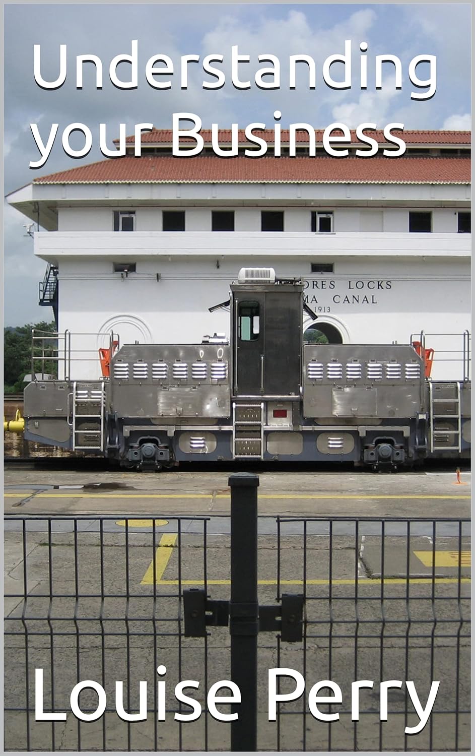 Amazon.com: Understanding your Business (Business Guides) eBook : Perry ...