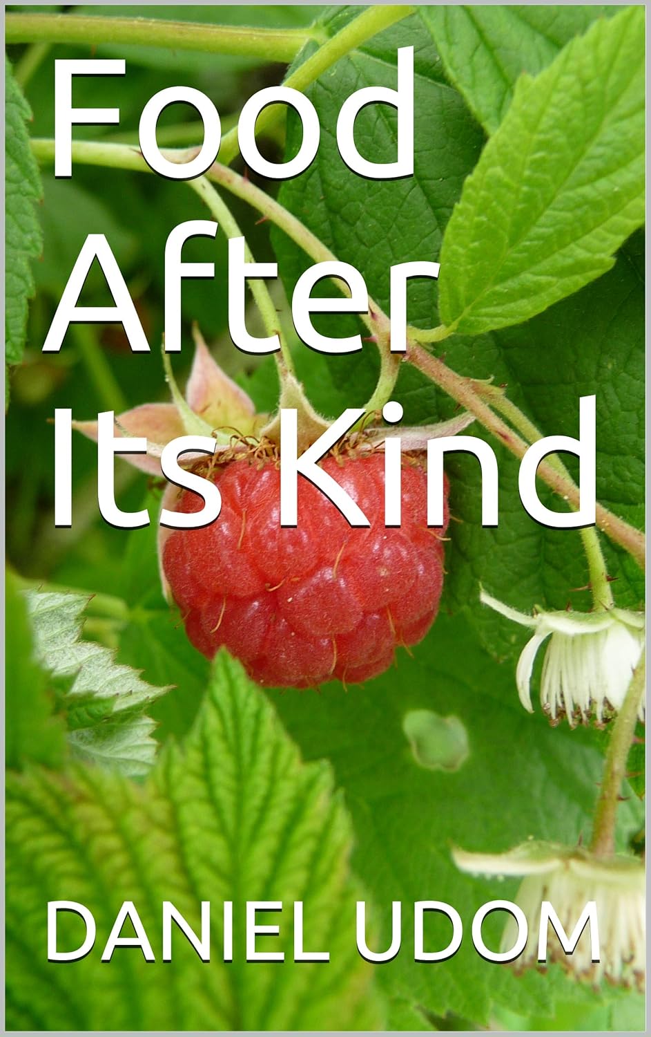 Food After Its Kind (Volume 1) - Kindle edition by UDOM, DANIEL. Health ...