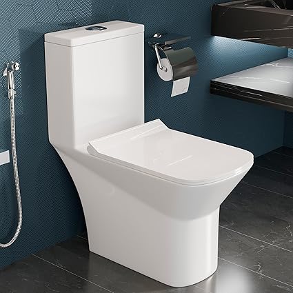 Ceramic One Piece Floor Mounted Western Toilet/Syphonic Flushing toilet ...
