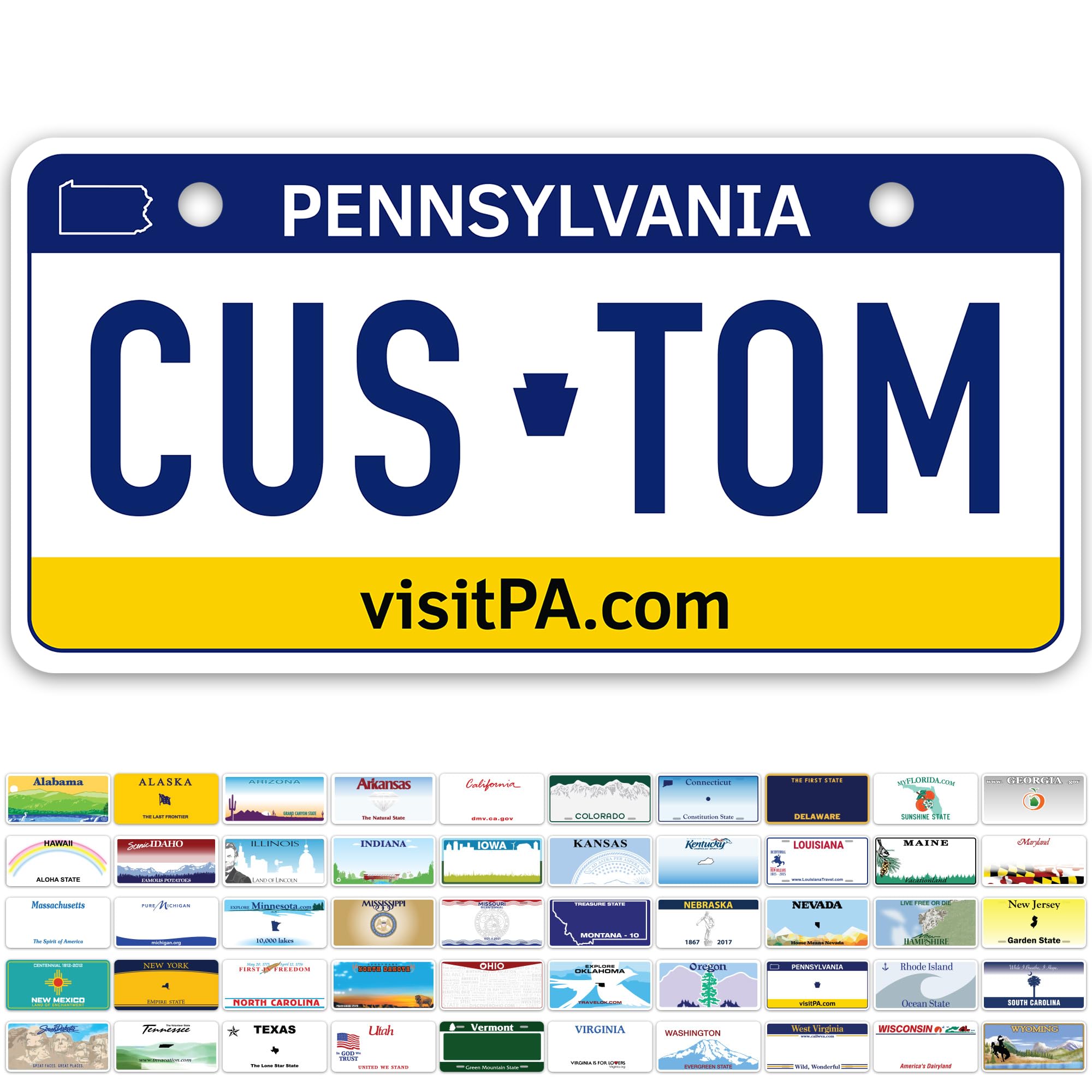 Amazon.com: Mini License Plates, Personalized License Plates, Custom ...