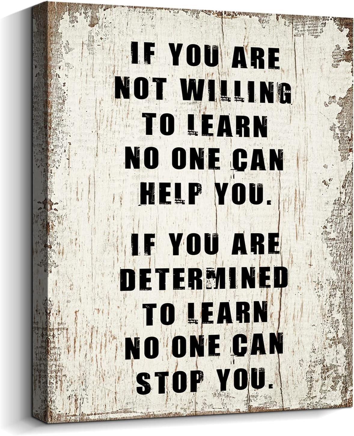 Amazon.com: Determined to Learn Motivational Wall Art Zig Ziglar ...