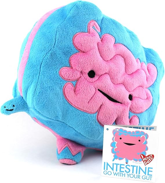 Amazon.com: I Heart Guts Intestine and Appendix Plush - Go With Your ...