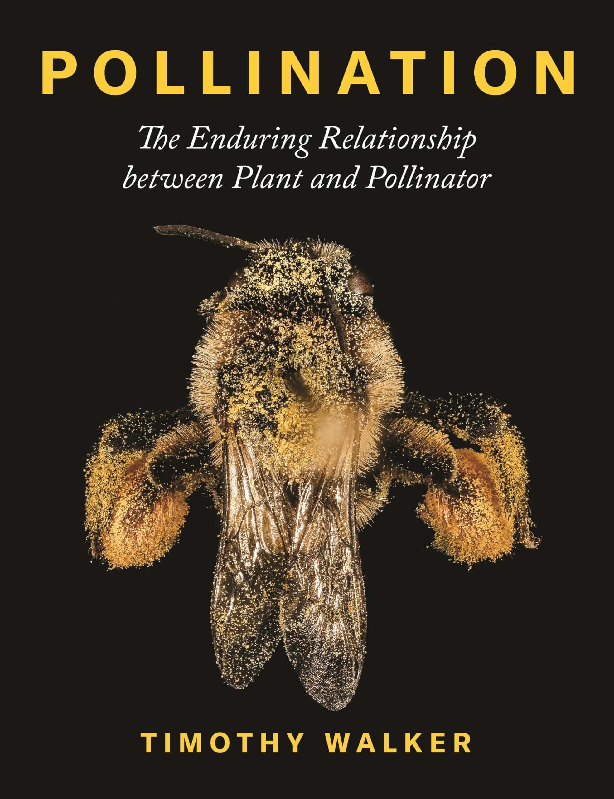 Pollination: The Enduring Relationship between Plant and Pollinator ...