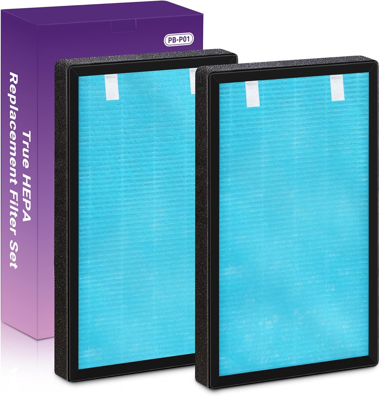 Amazon.com: PB-P01 Replacement Filter Compatible with Pro Breeze Air ...