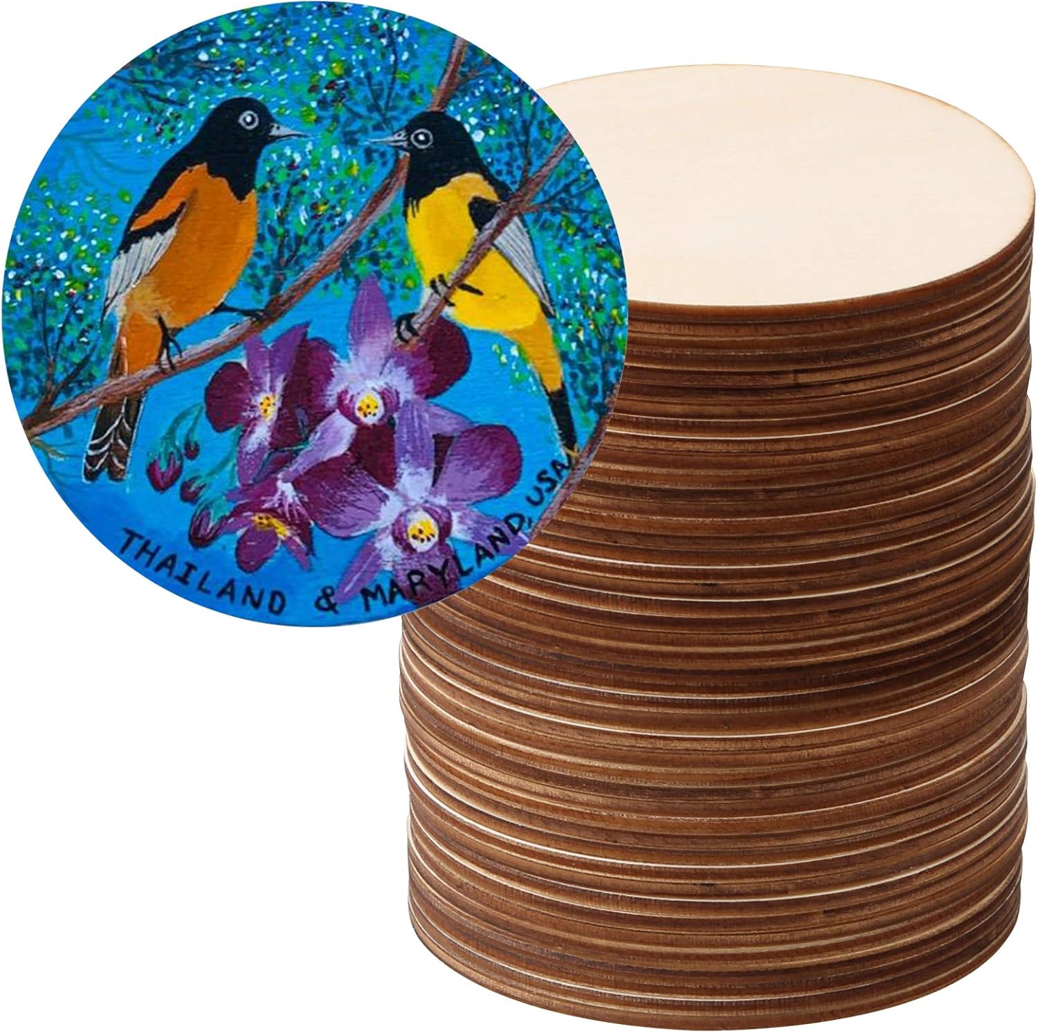 Amazon.com: 50PCS 4 Inch Wood Circle for Crafts Round Wooden Discs 4 ...