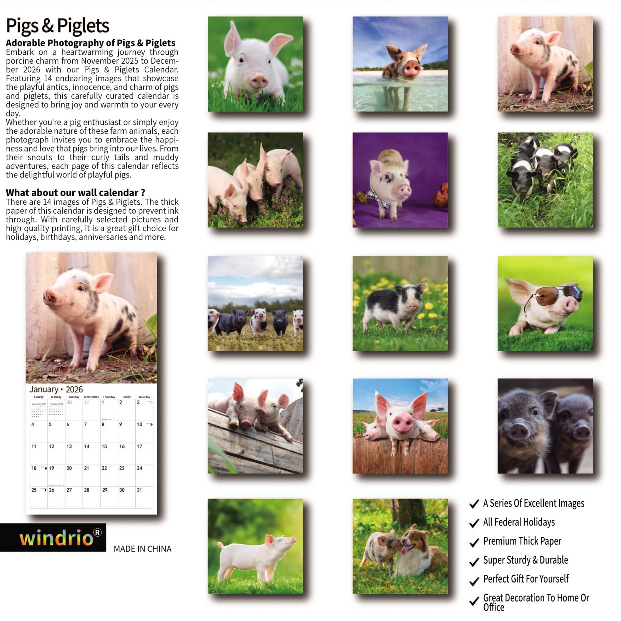 Snapklik.com : 2026 Wall Calendar,Calendar 2026, November 2025 ...