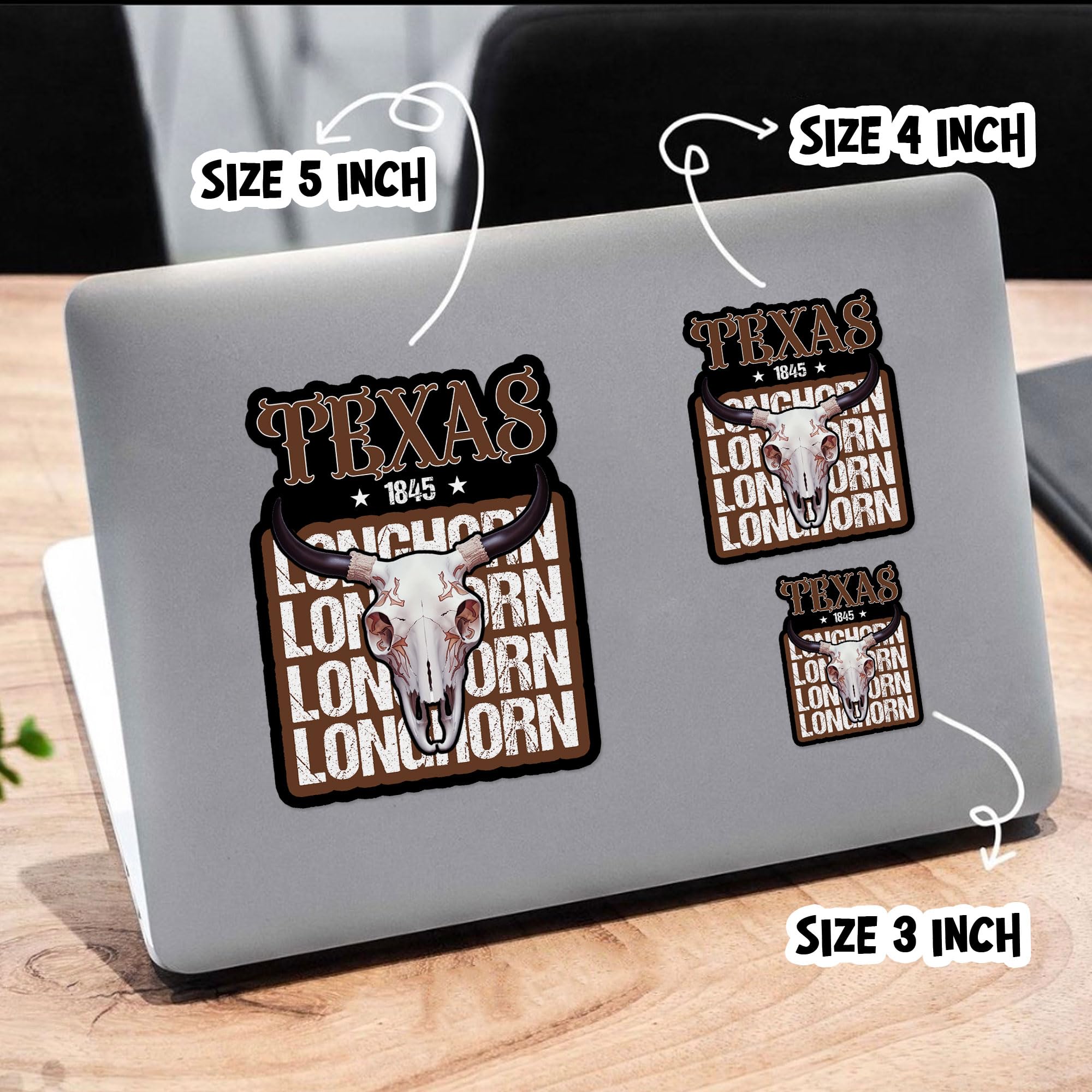 Vintage Texas Stickers