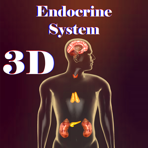 Endocrine System Cartoon 24 The Female Endocrine System Silhouette