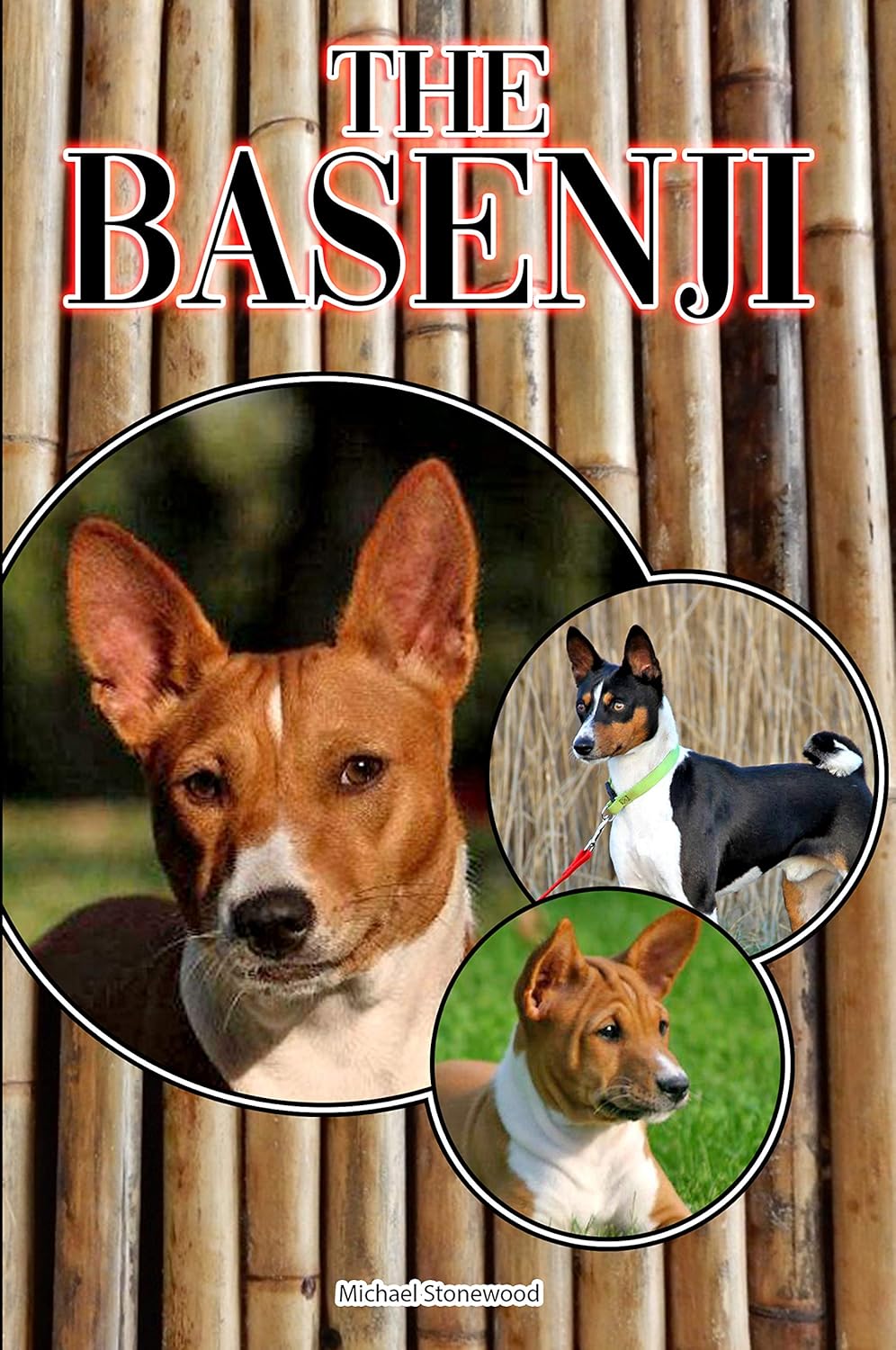 Amazon.com: The Basenji: A Complete and Comprehensive Beginners Guide ...