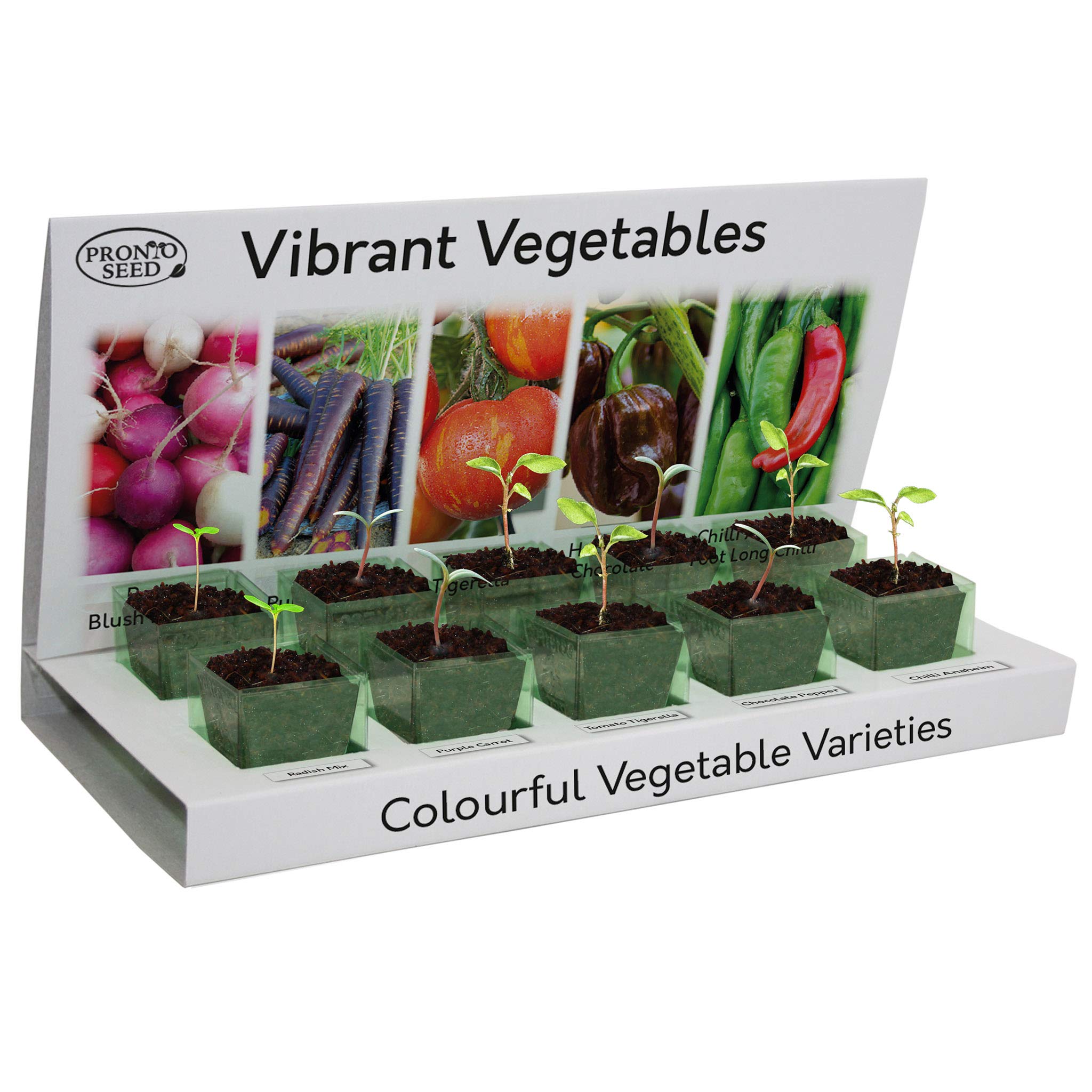 Buy Grow Your Own Veg at Home with This Easy to Grow Eco Vegetables Kit ...