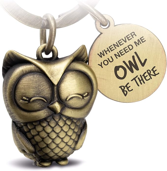 FABACH owl Key Ring, FB_OWLY_OBT_B, Antique Bronze - Cute, Floating ...