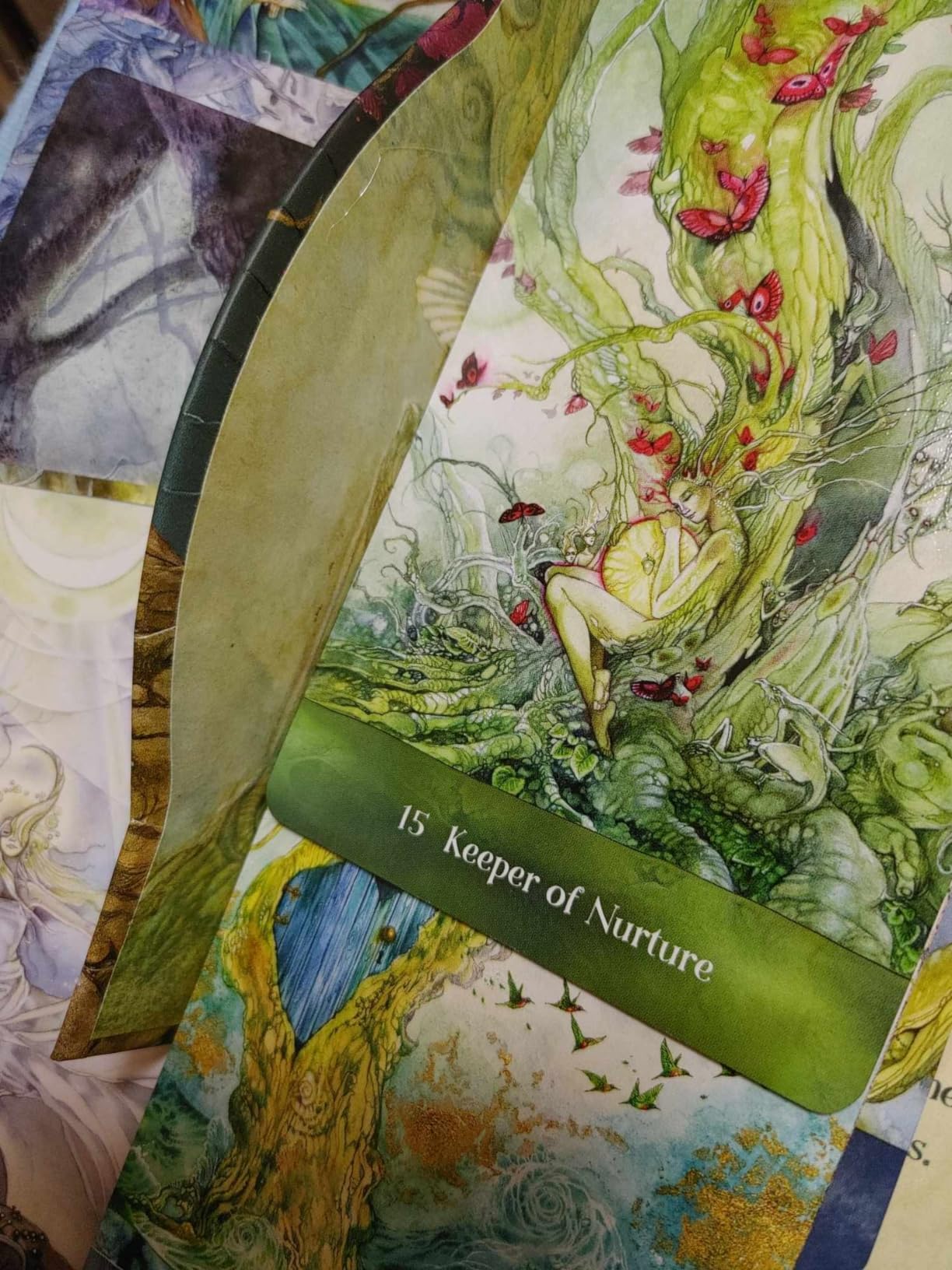 Amazon | Treekeepers Oracle | Sullins, Angi, Law, Stephanie | Fortune ...