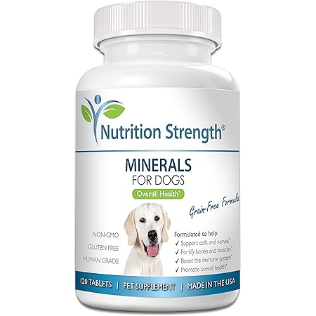 Amazon.com : Rx Vitamins Canine Minerals - Dog Calcium Supplement Plus ...