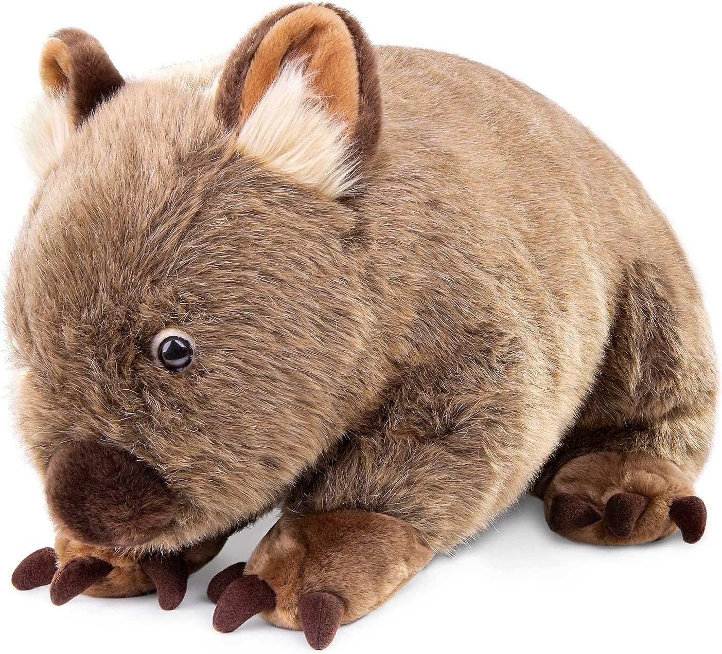 Amazon.com: Adventure Planet 7" Heirloom Wombat, Gray : Toys & Games